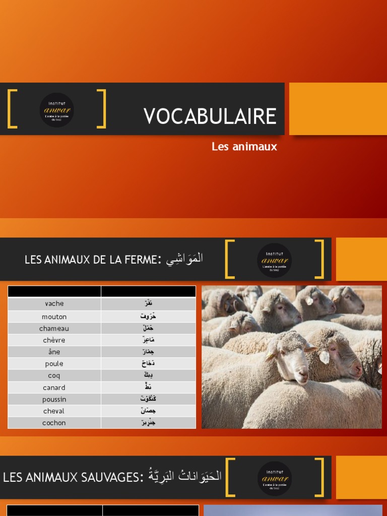 Vocabulaire Animaux | PDF