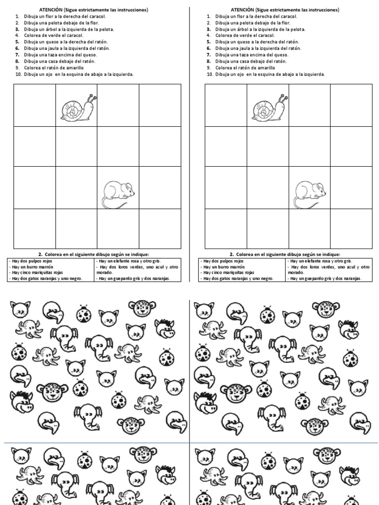 Ejercicios De Atencion Pdf