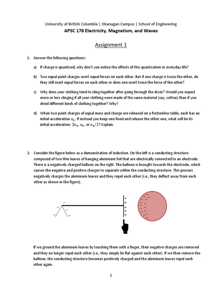 APSC 178 - Assignment 1 | PDF | Electric Charge | Force