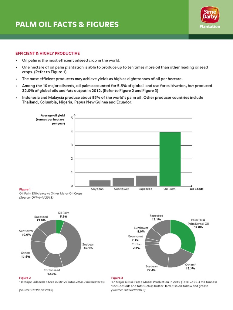 Palm Oil Facts & Figures: Efficient & Highly Productive | PDF