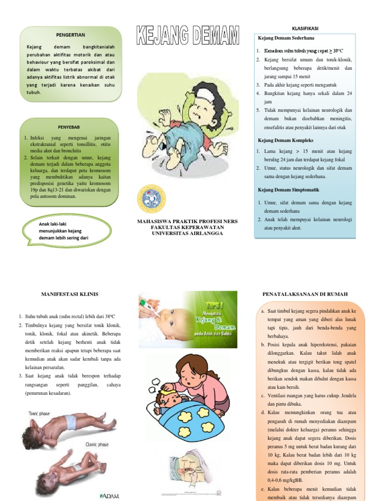 Leaflet Kejang Demam | PDF