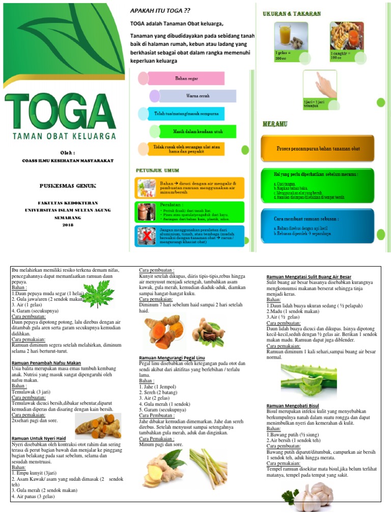 Leaflet Penyuluhan TOGA | PDF