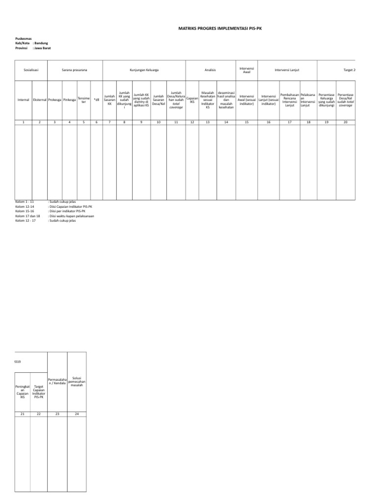 Form Isian Matriks Pis-Pk Puskesmas | PDF