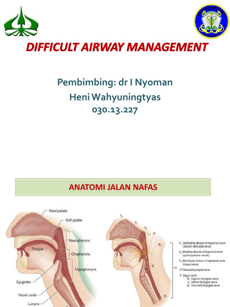 Difficult Airway Management | PDF