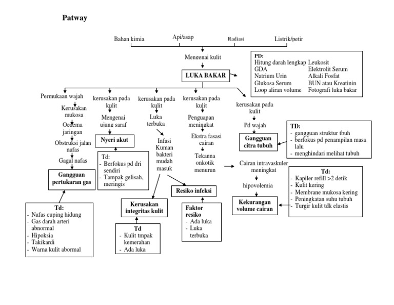 Patway Luka Bakar | PDF