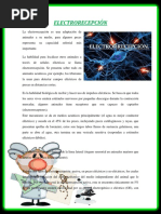 Frases H y P: Peligros y Clasificación | PDF | Toxicidad | Alergia
