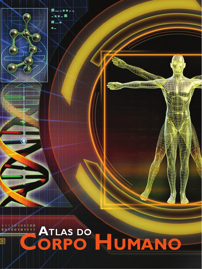 Atlas Do Corpo Humano | PDF | Veia | Artéria