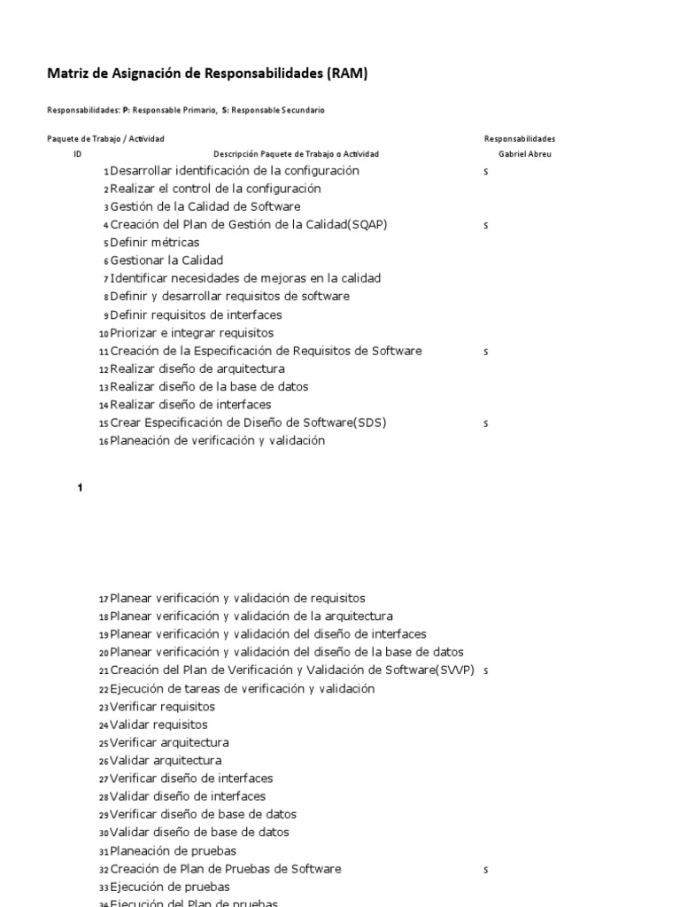 Matriz RAM | PDF | Ingeniería de software | Software