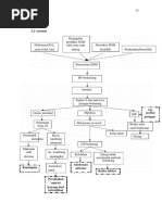 Pathway Febris | PDF