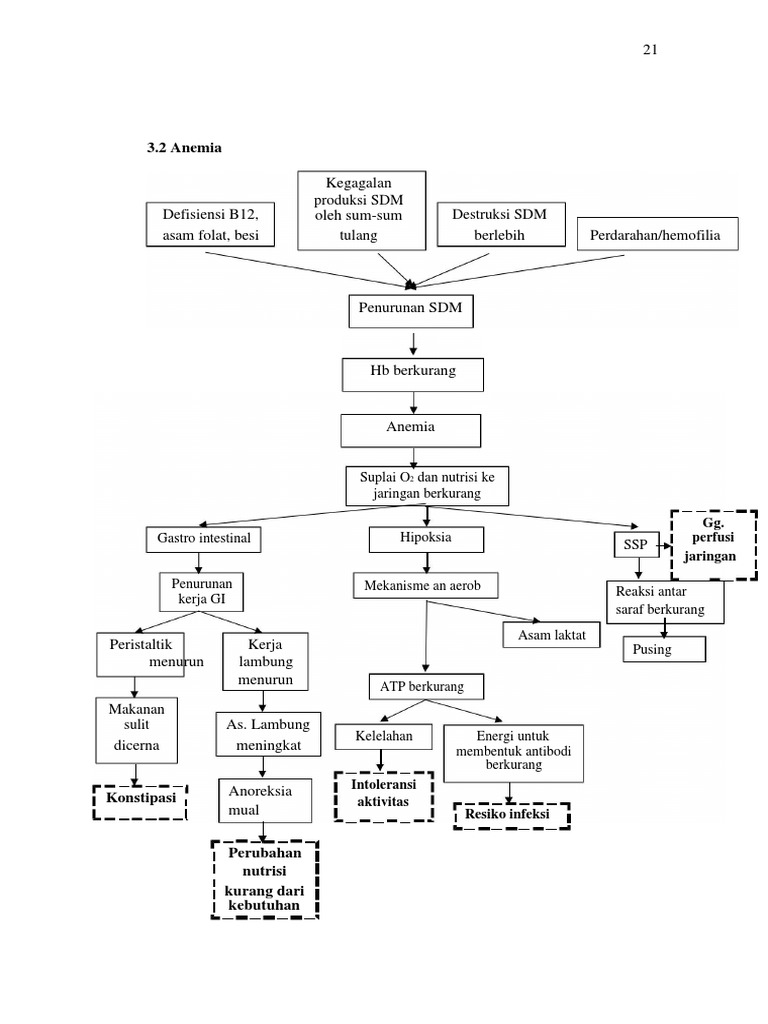 Pathway Anemia dan Penanganannya | PDF