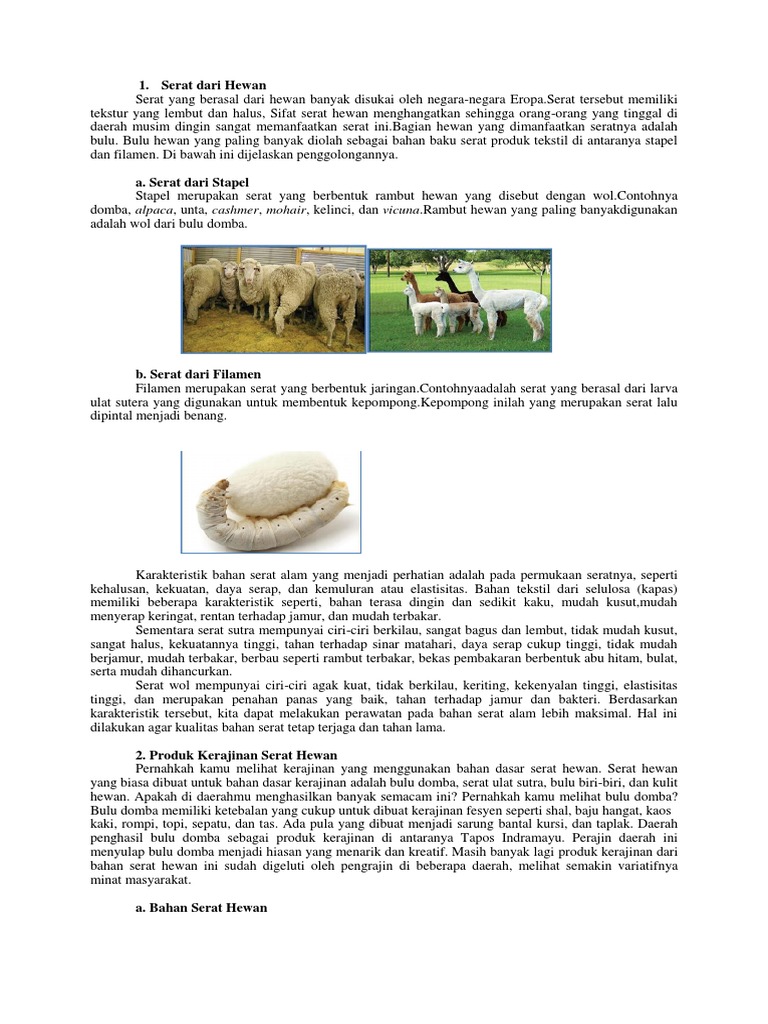 Serat Dari Hewan | PDF