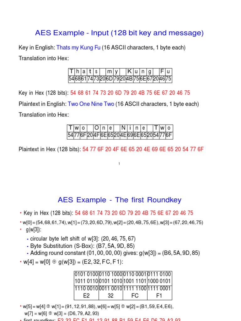 Contoh Algoritma AES | PDF | Matrix (Mathematics) | Cryptography