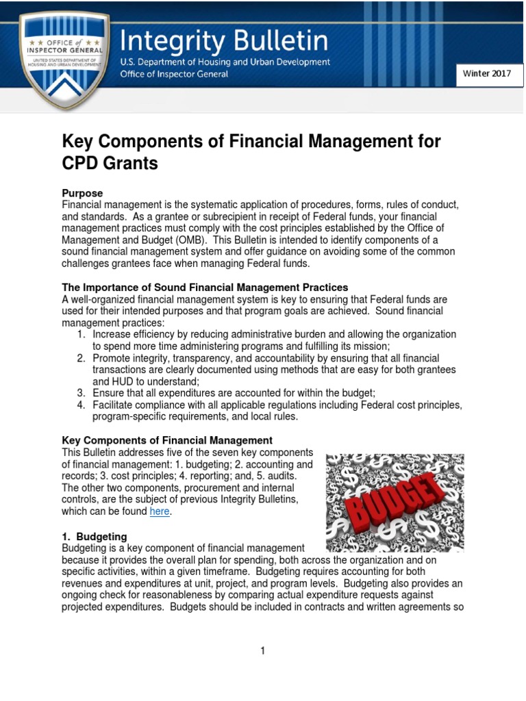 Financial Management for CPD Grants | PDF | Audit | Accounting