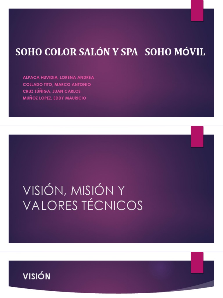Soho Color Salón y Spa - Soho Móvil | PDF | Cliente | Publicidad