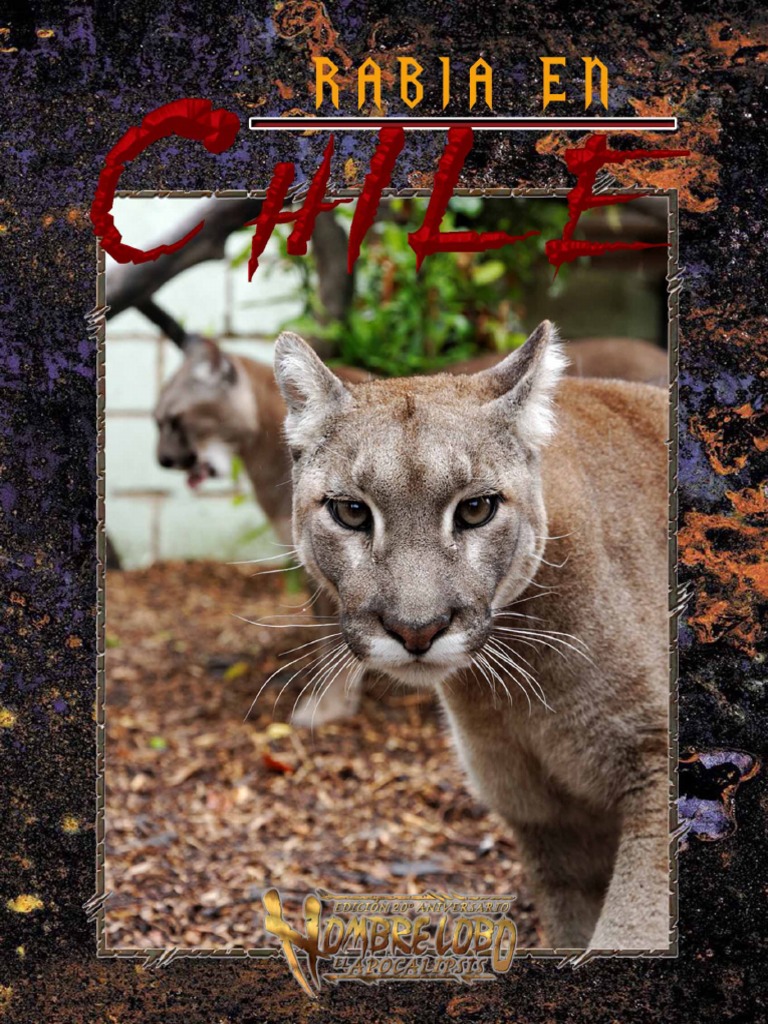 Rabia en Chile | PDF | Chile | Imperio Inca