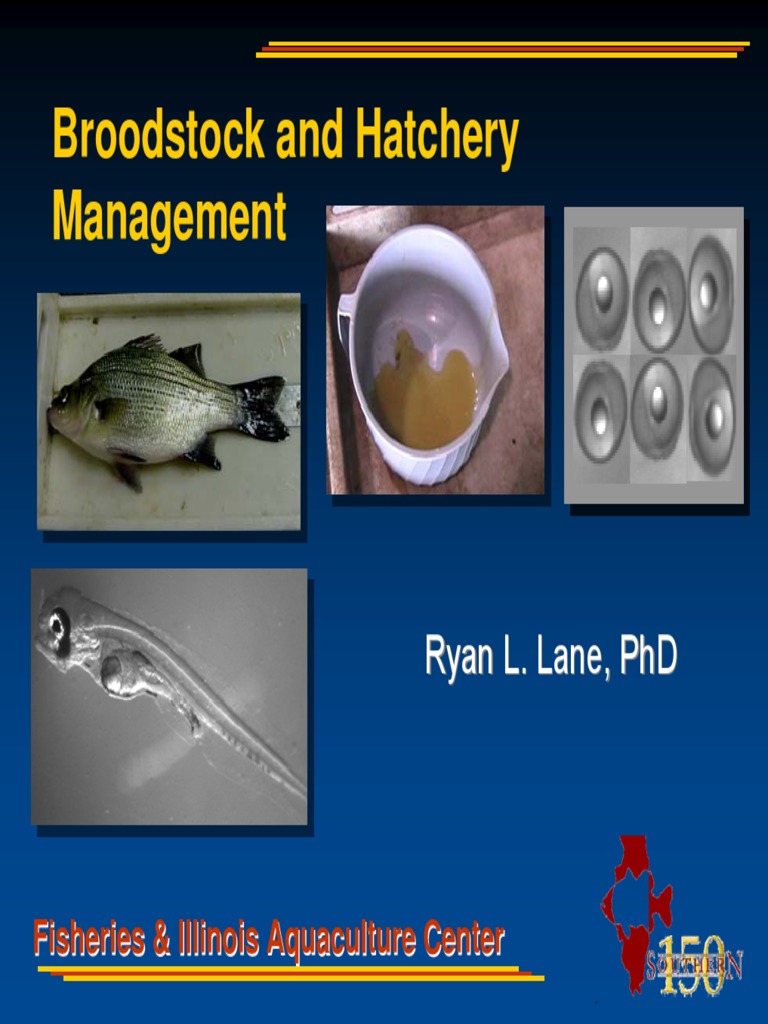 Broodstock and Hatchery Management: Ryan L. Lane, PHD | PDF | Spawn ...