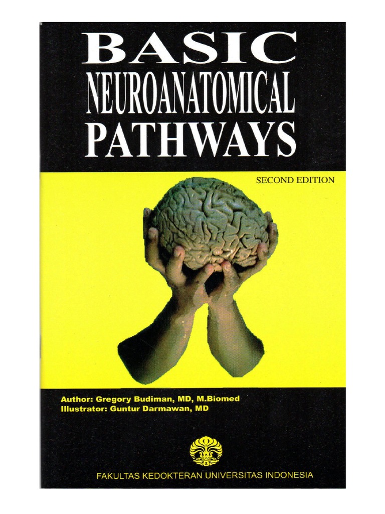 Basic Neuroanatomical Pathways | PDF