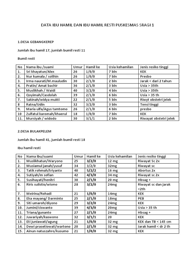 DATA IBu Hamil Resti | PDF