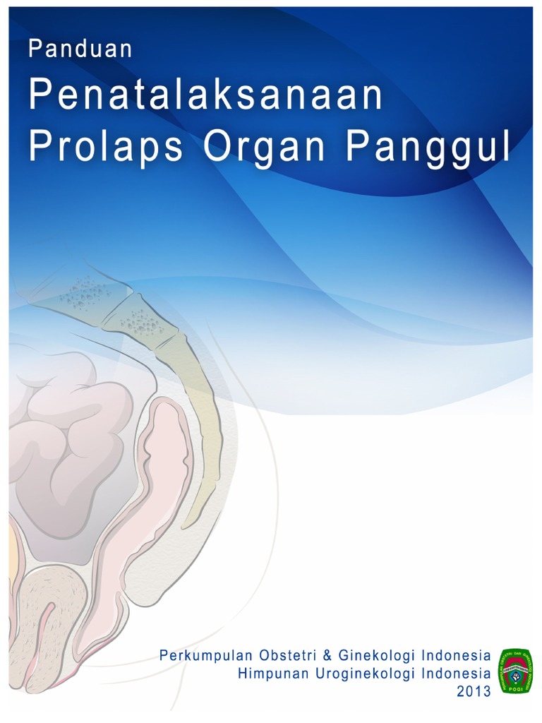 Panduan Tatalaksana Prolap Organ Panggul | PDF