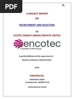 Organization Structure of GenpacT 3 | PDF | Business | Economies