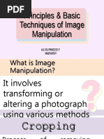 Principles and Basic Techniques of Image Manipulation | PDF