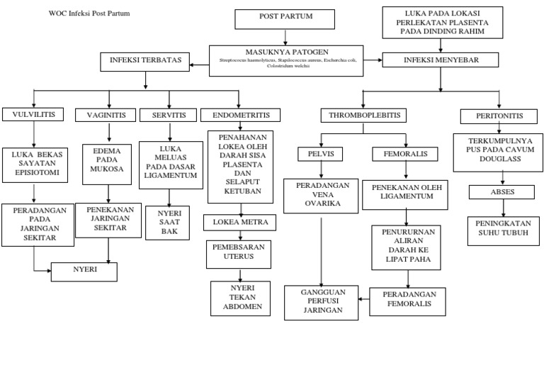 Infeksi Postpartum: Penyebab dan Gejala | PDF