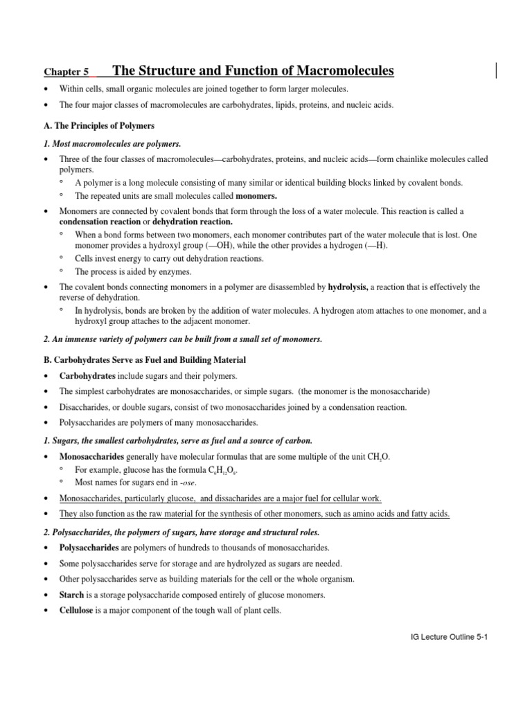 General Biology Macro Molecule Outline | PDF