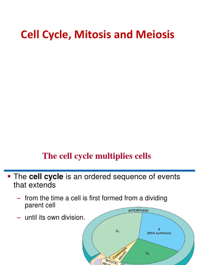 Cell Cycle-Mitosis - Meiosis Slides | PDF | Mitosis | Meiosis
