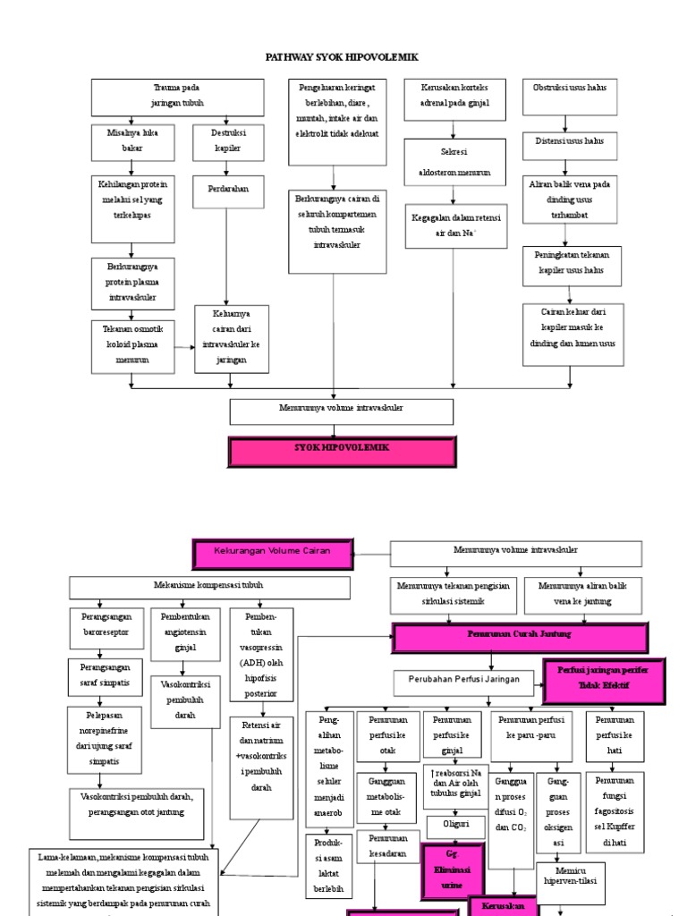 Pathway | PDF