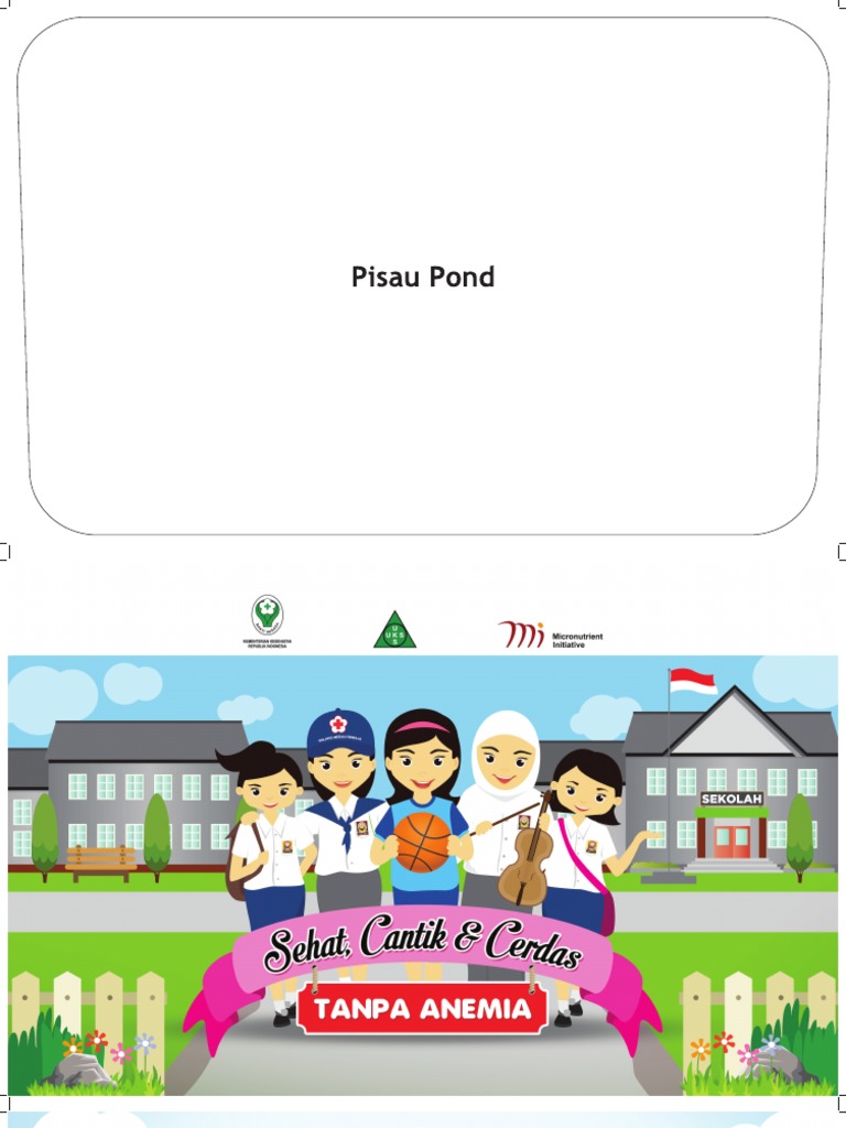 Penyuluhan TTD Dan Anemia | PDF