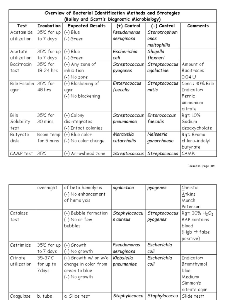 Comprehensive Overview of Common Bacterial Identification Tests ...