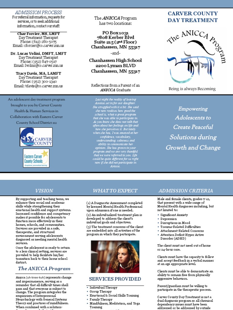 Anicca Brochure Revised 10 | PDF | Mental Health | Attention Deficit ...