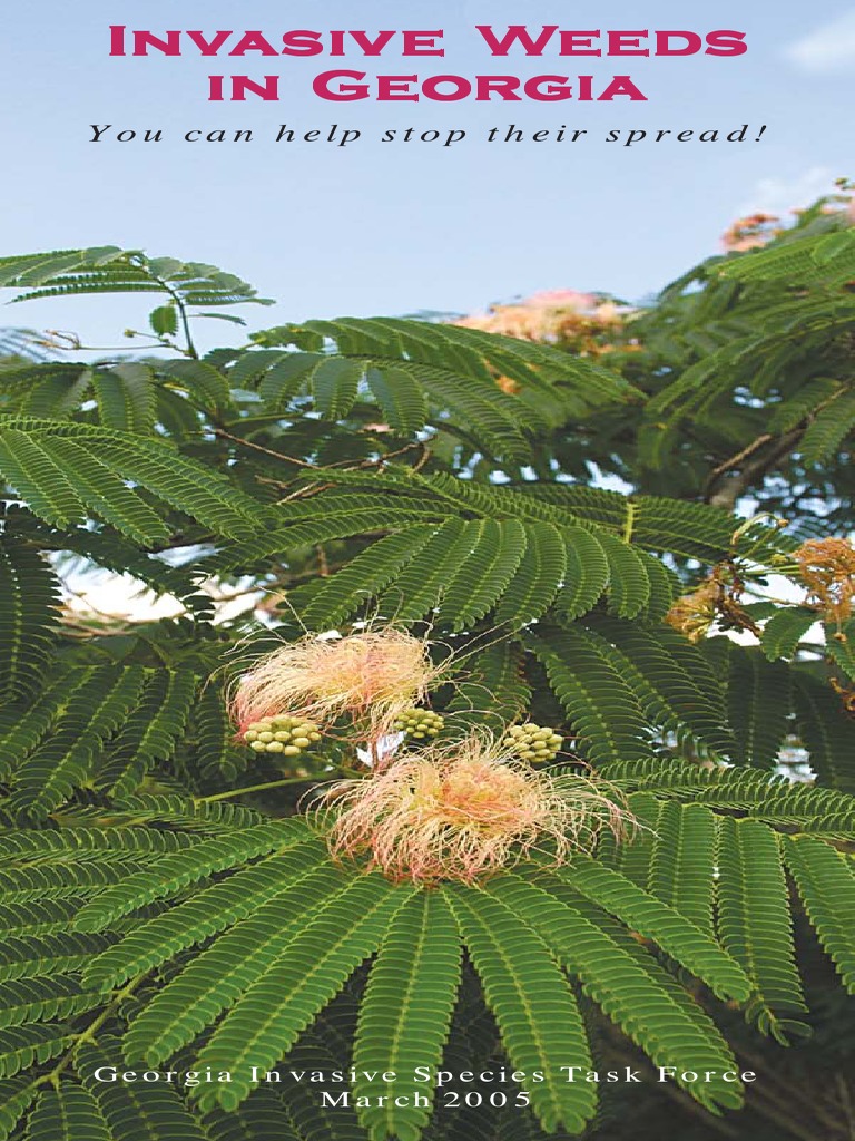Invasive Weeds in Georgia | Invasive Species | Introduced Species