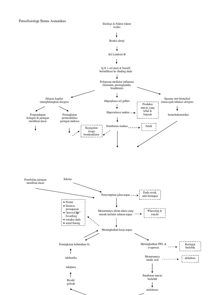 Patsofisiologi Status Asmatikus | PDF