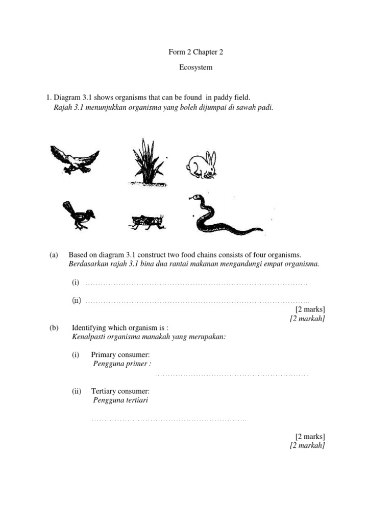 Form 2 Chapter 2 | PDF