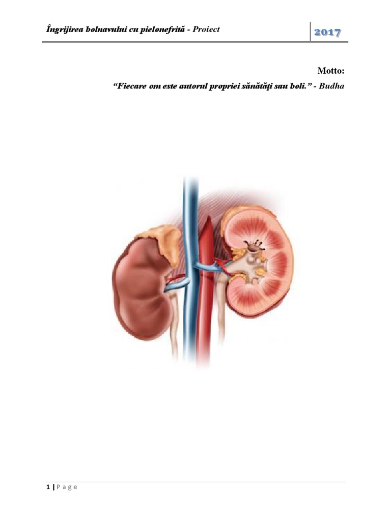 Final Pielonefrita | PDF