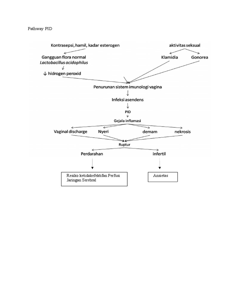 Pathway PID | PDF