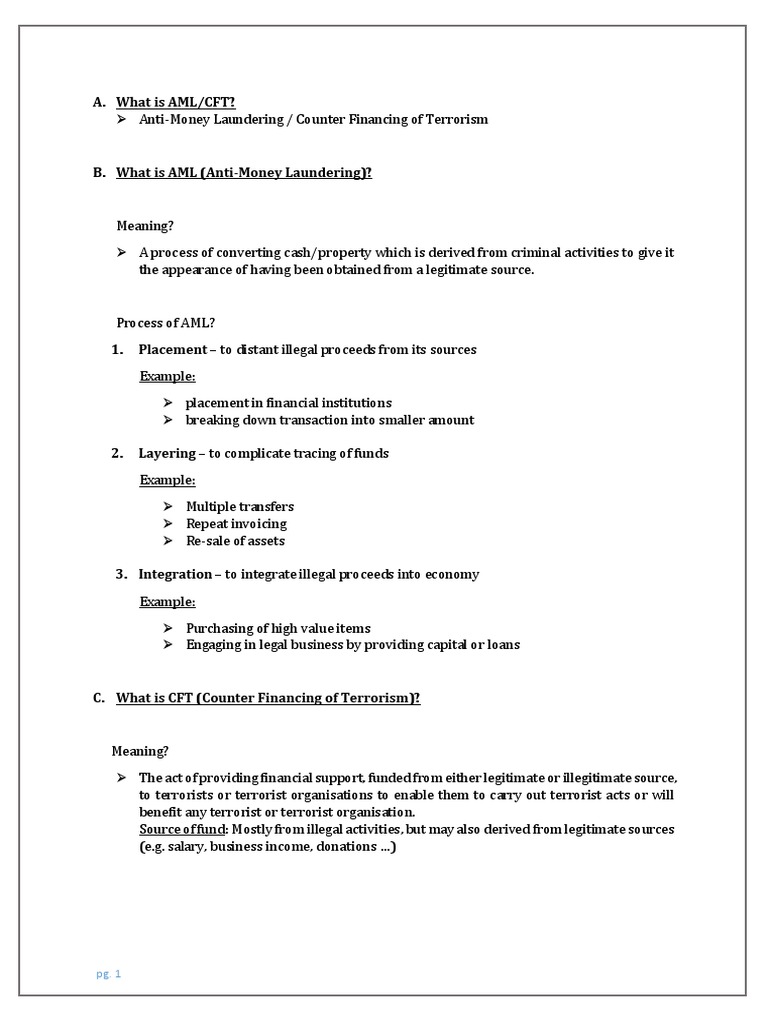 What Is AML Note | PDF | Money Laundering | Government