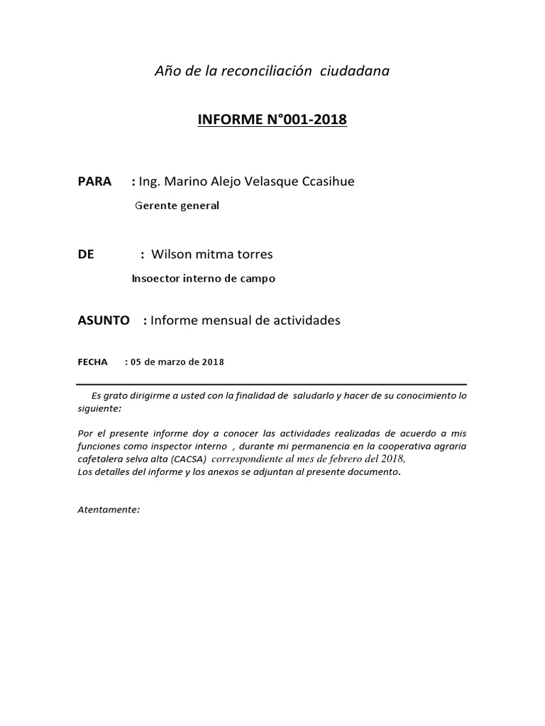 Informe de Inspeccion Interna | PDF