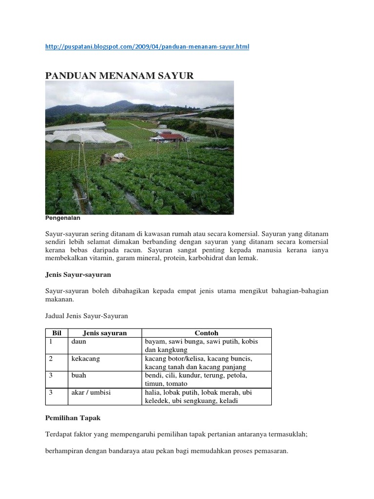 Panduan Penanaman Sayur | PDF