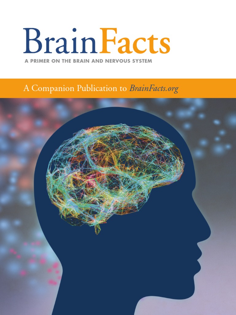 Brain Facts | PDF | Cerebrum | Cerebral Cortex