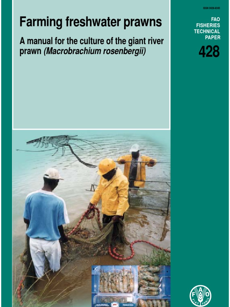 Farming Freshwater Prawn | PDF | Agriculture | Nature