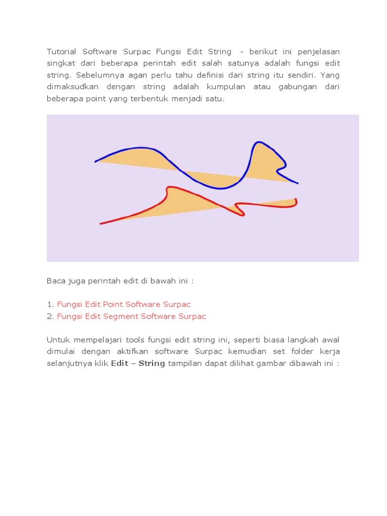 Tutorial Software Surpac Fungsi Edit String | PDF