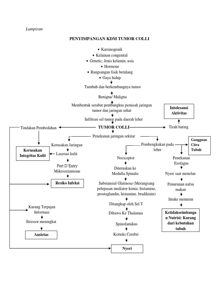 PKDM Tumor Colli | PDF