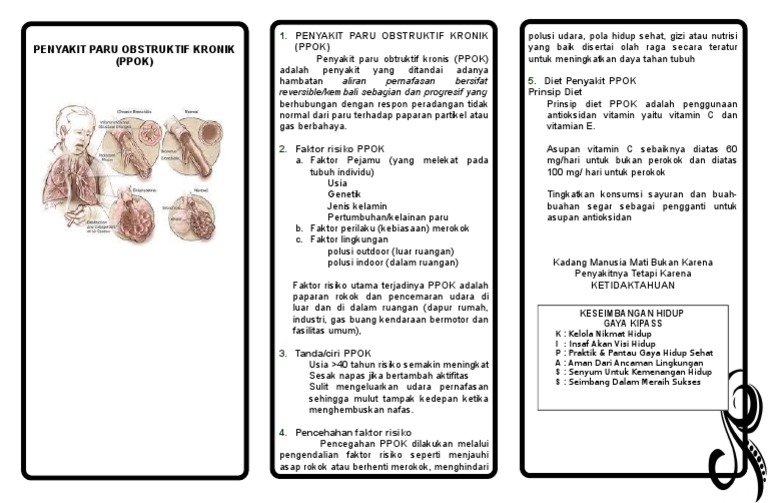 Leaflet Ppok | PDF