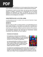 Usos y dosis de IbuWin Forte 800 mg | PDF