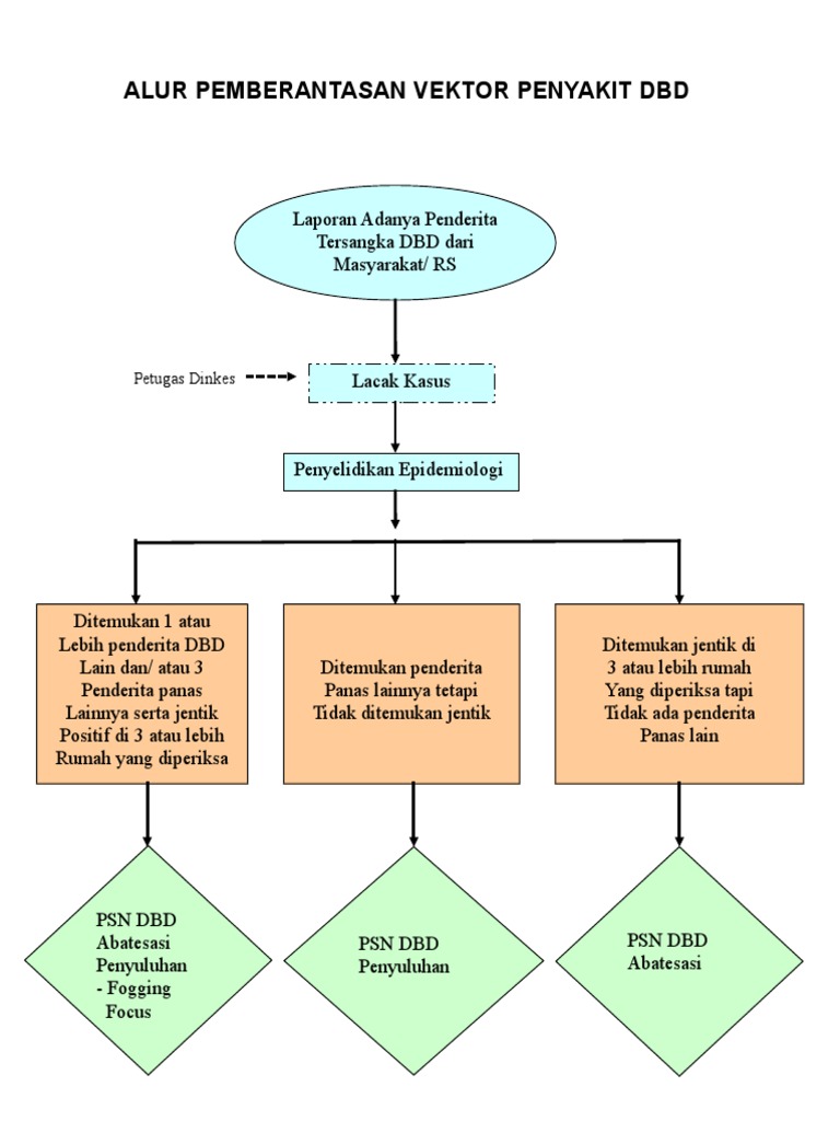 Alur Pemberantasan Vektor DBD | PDF