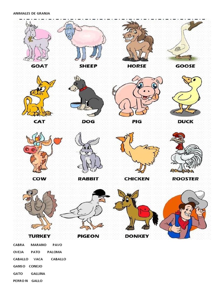 Animales de granja en inglés y español | PDF | Etnobiología | Domesticación