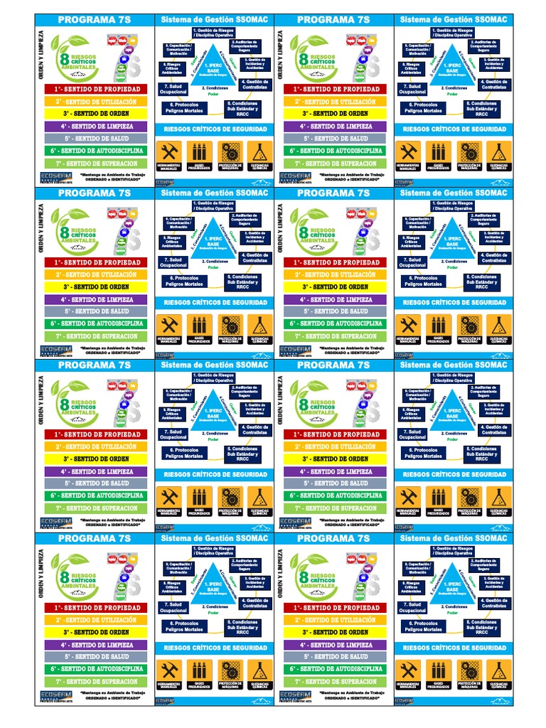 7S | PDF | Salud y bienestar | Medicina