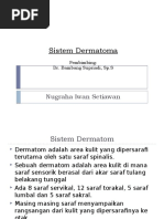 Peta Dermatome dan Inervasi Kulit | PDF